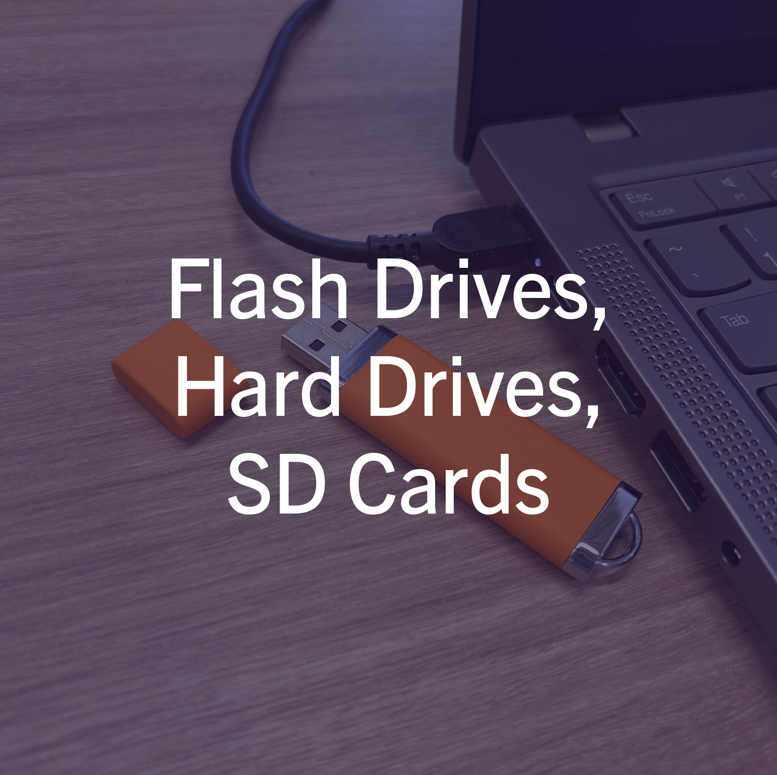 Flash Drives, Hard Drives, SD Cards – TigerTech Shop